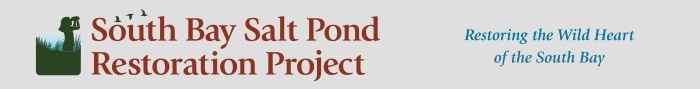 SBSP Restoration – Bay Planning Coalition